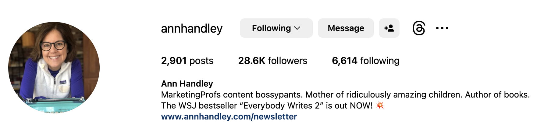 Ann Handley Biography 2026